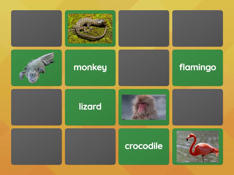 Form 5. Unit 5_1 - Parejas