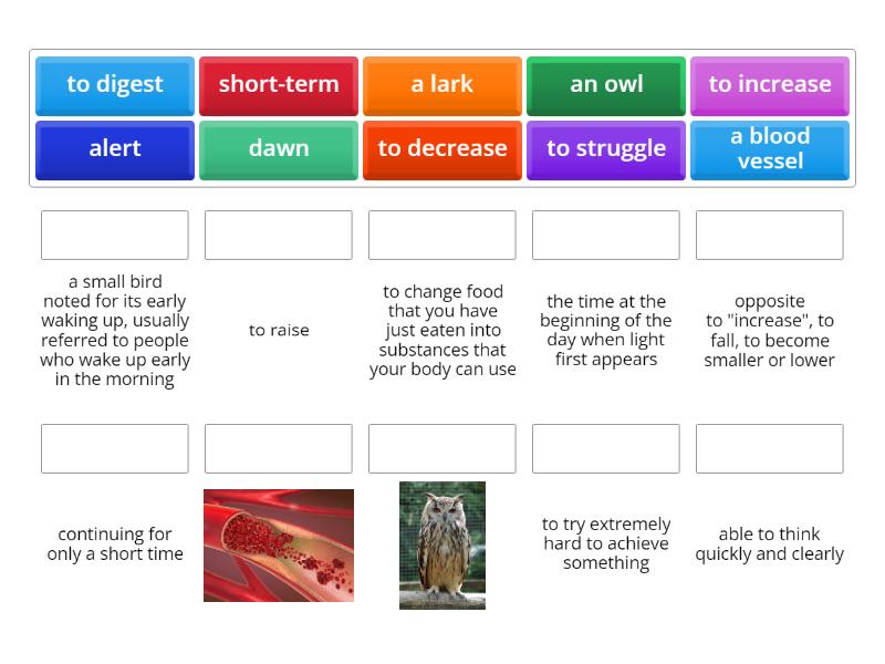 3F Words from the text - Match up
