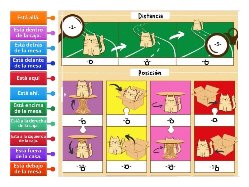 ¿Dónde está el gato? - Labelled diagram