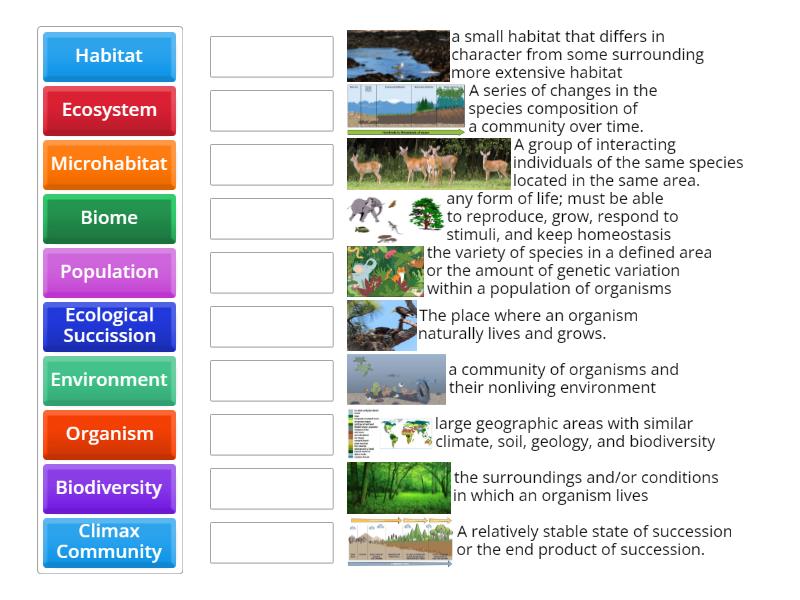 Ecosystems and Environments - Match up