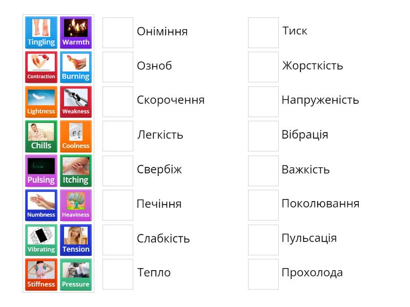 Body Sensations - Match up