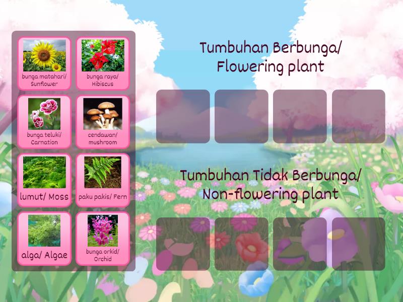 Tumbuhan Berbunga dan Tidak Berbunga - Classificação em grupos