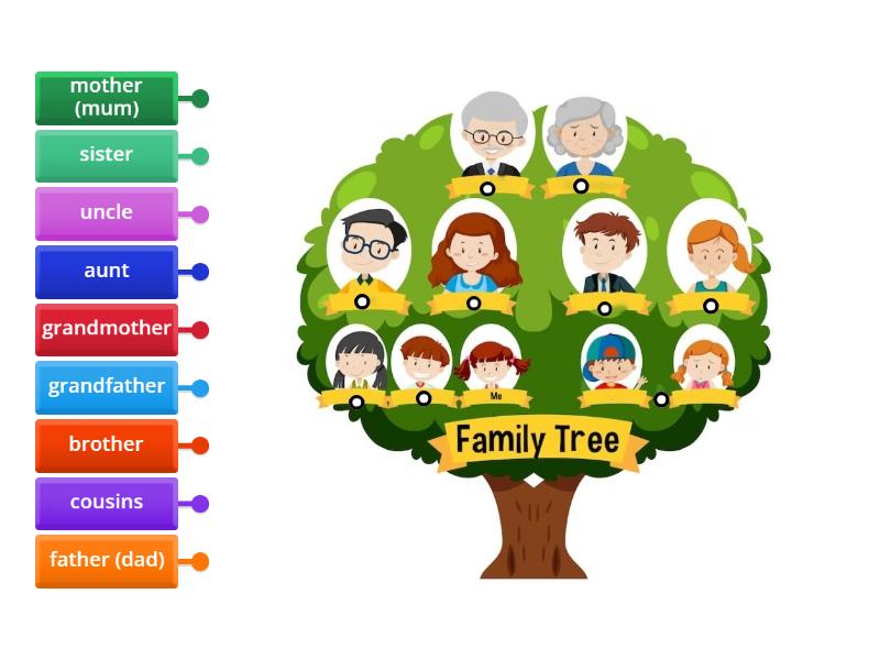 GG1 TDSt U1 family - Labelled diagram