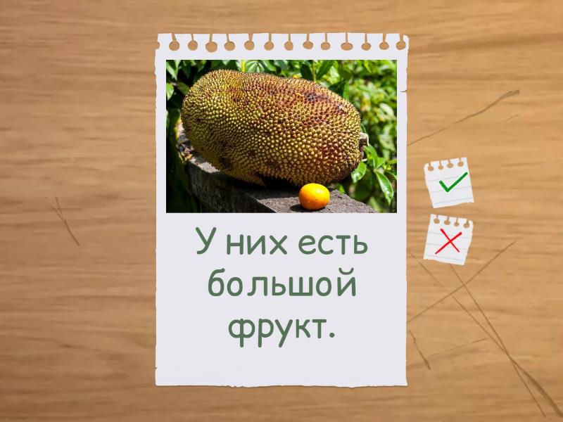 Lesson 2 - Flash cards