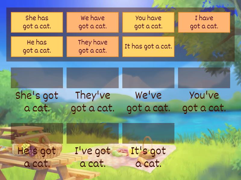 Have got/Has got (short forms) - Match up