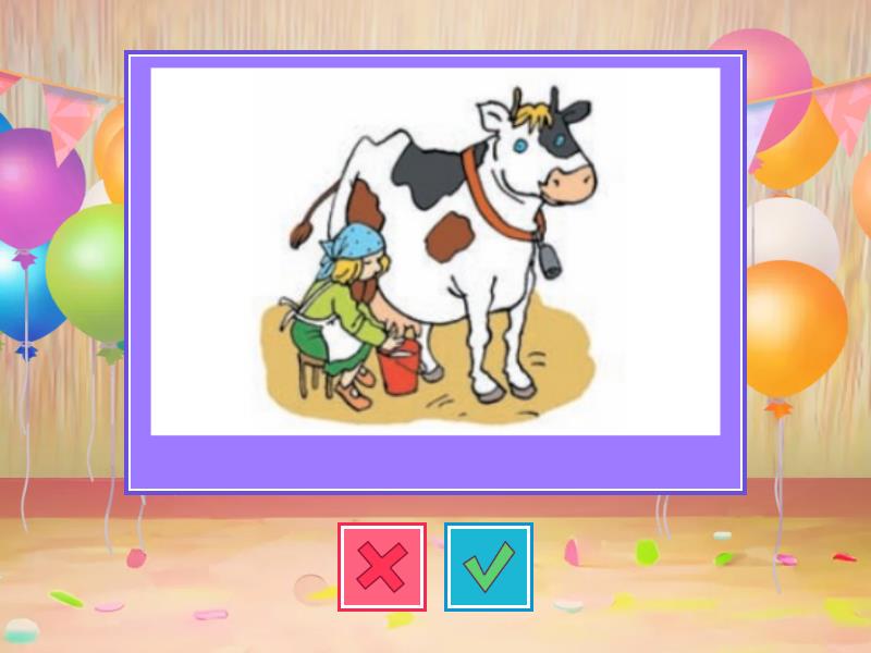 Look after animals - Flash cards