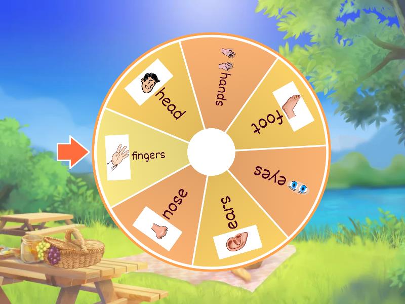 body parts - Spin the wheel