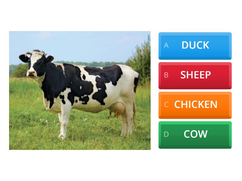 FARM ANIMALS - Quiz
