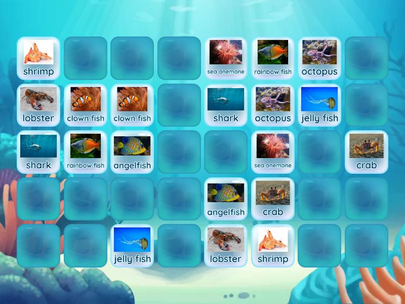Match the sea creatures game - Parejas