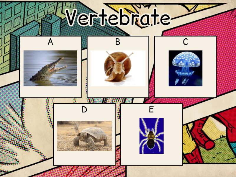 Vertebrates and Invertebrates sorting - Cuestionario