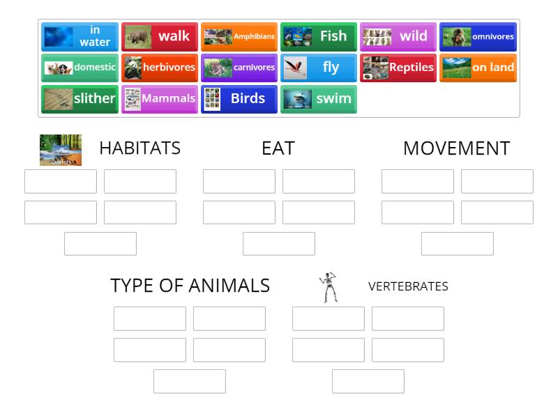CLASSIFY ANIMALS - Group sort