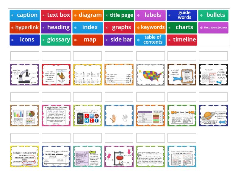 Text Features Quiz - Match up
