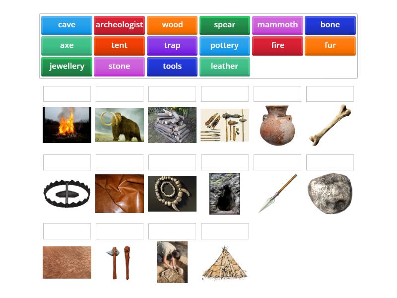 Prehistory - Match up