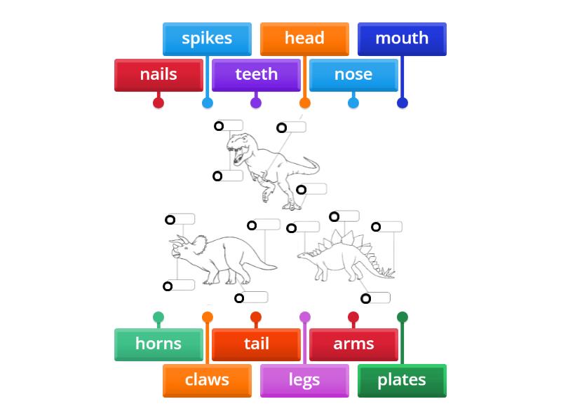 Dinosaur body parts - Labelled diagram
