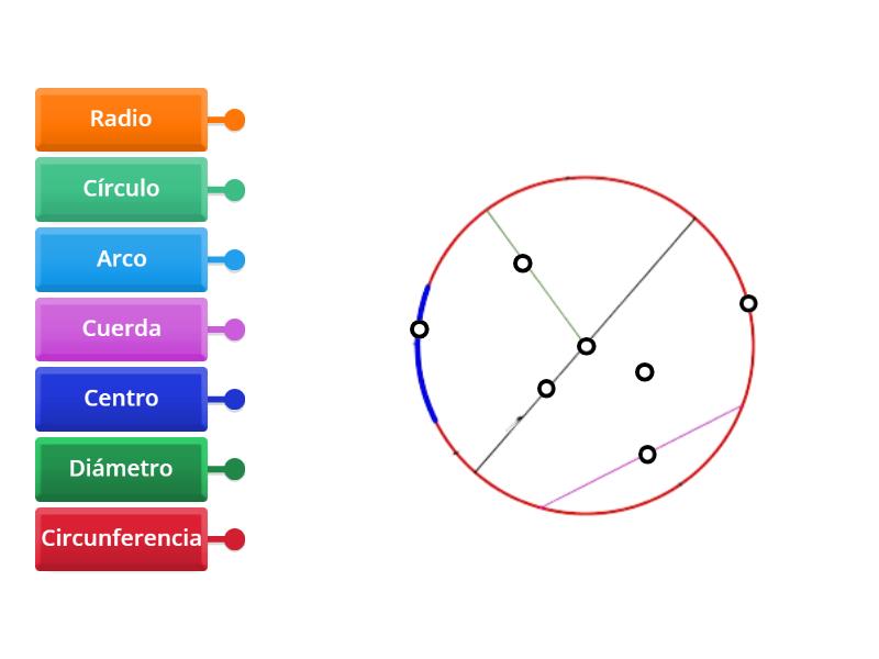 El círculo y sus partes - Diagrama con etiquetas