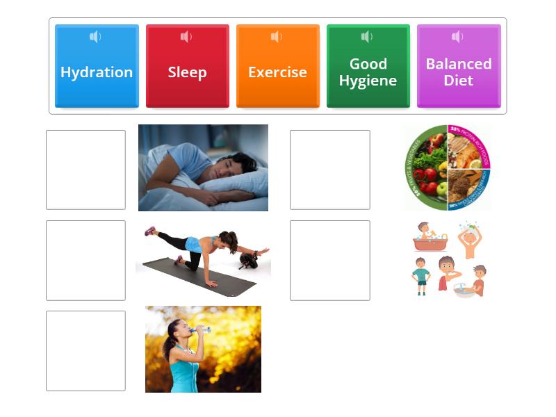 What do humans need to stay healthy? - Match up