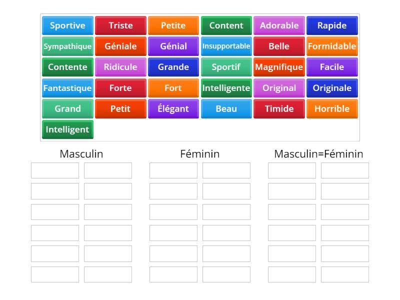 Les adjectifs masculin/féminin - Group sort