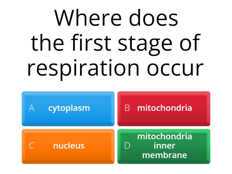 Respiration - Quiz