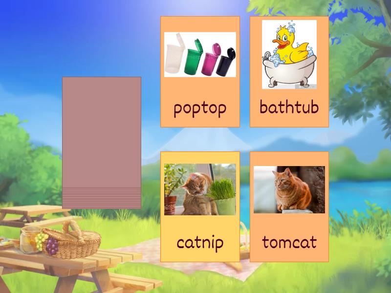 Compound 2-Syllable Closed Words - Speaking cards