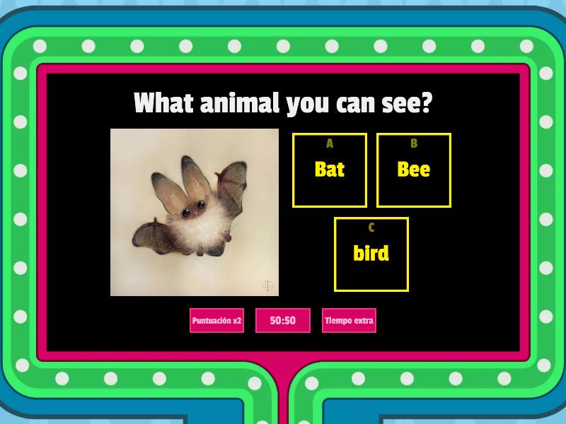 What animal do you see? - Gameshow quiz