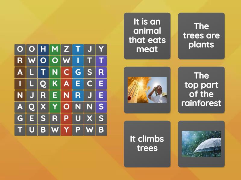 Rainforest - Sopa de letras