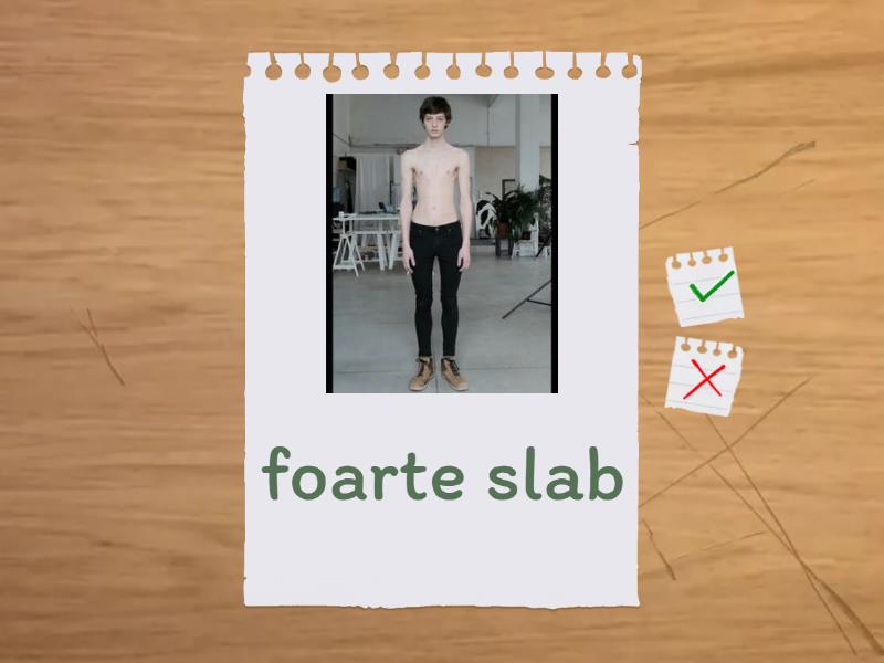 Unit 1B Appearance and Personality - Flash cards