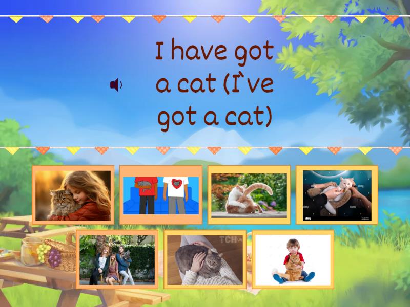 Pronouns + have has got + a cat - Find the match