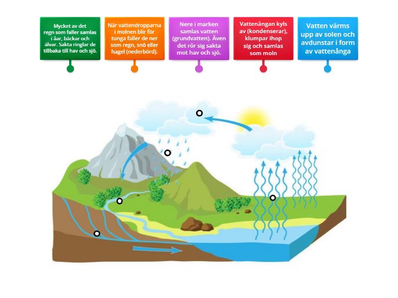 Vattnets kretslopp - Labelled diagram