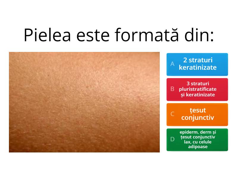 Analizatorul cutanat - Quiz