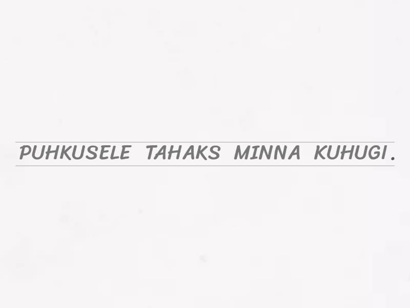 TAHAKS PUHKUSELE MINNA - Unjumble