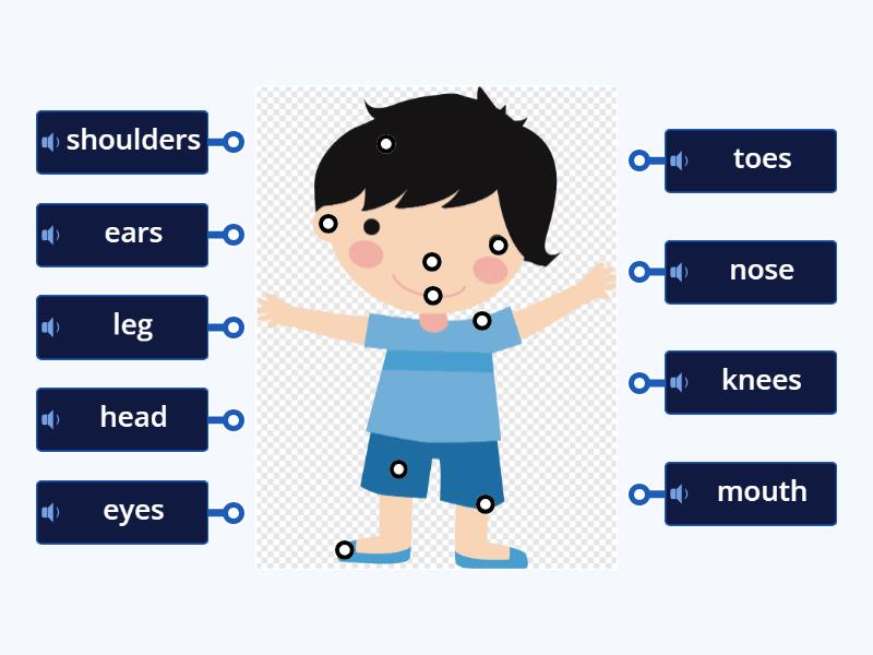 My Body - Labelled diagram