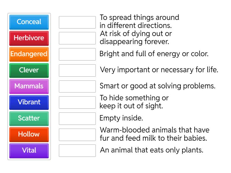 4 Animals Set 6 - Match up