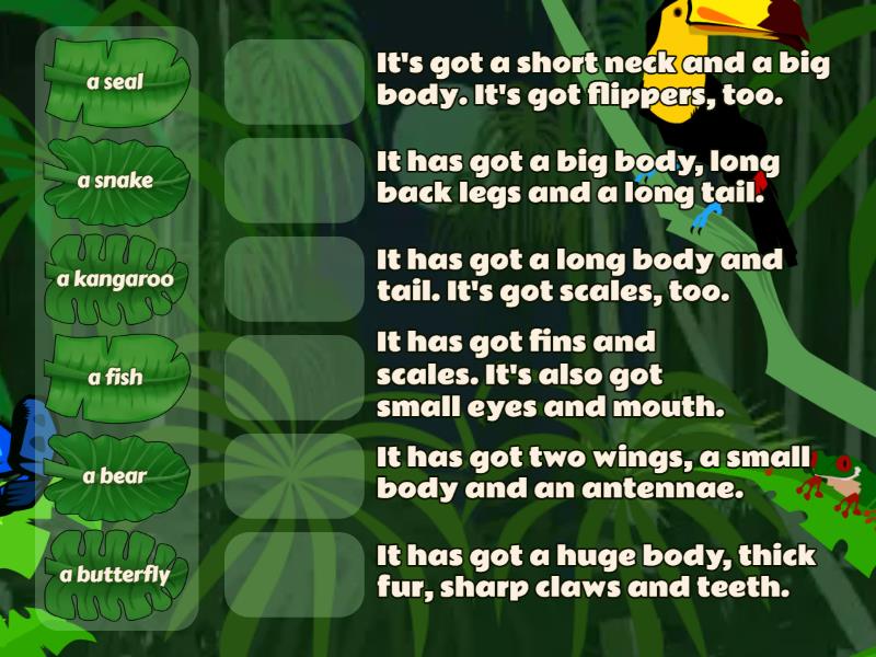 Access 2. Unit 4a. Animal Body Parts - Match up