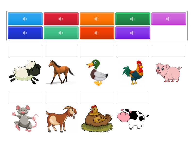 animal sounds - Match up