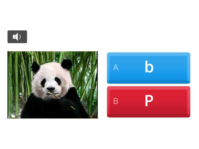 P or B sound - Quiz