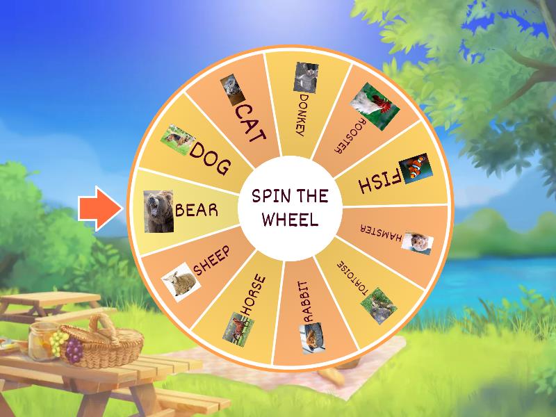ANIMALS - Spin the wheel