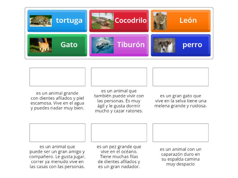 conociendo a los animales - Match up
