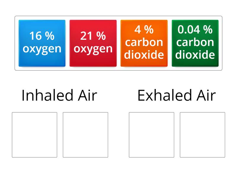 Composition of Inhaled and Exhaled Air - Ordenar por grupo
