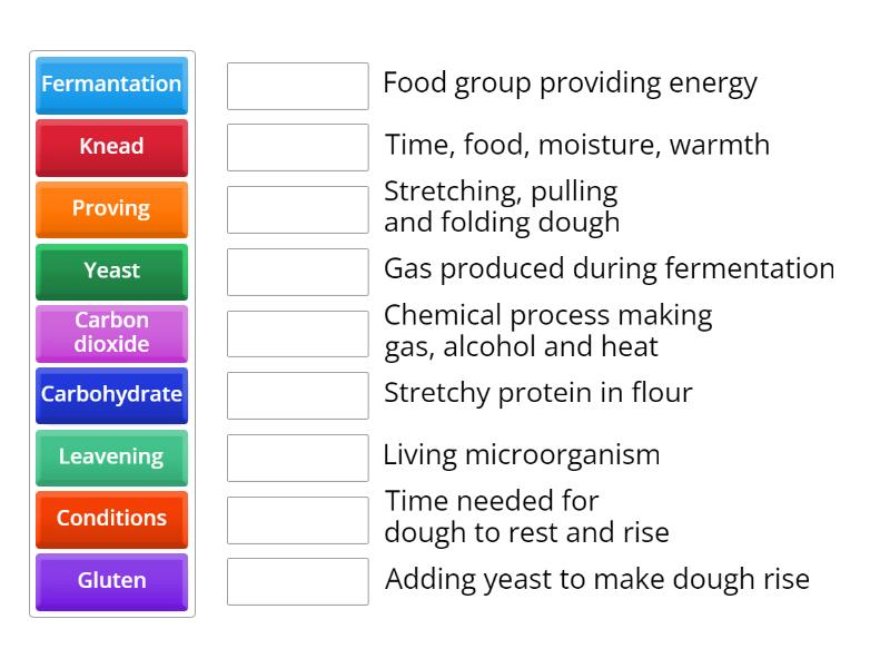 Fermentation - Match up