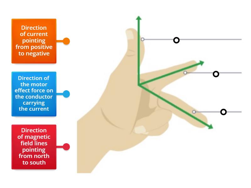 Flemmings left hand rule - Labelled diagram