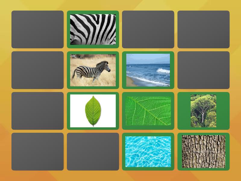 Le textures - Matching pairs