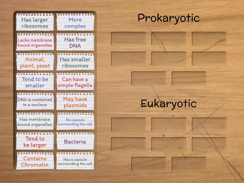 Prokaryotic Vs Eukaryotic - Group sort
