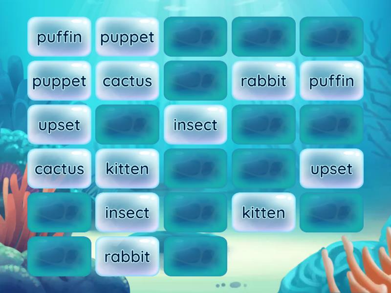 SPIRE Level 3 Lesson 8 Twin Syllables match - Matching pairs