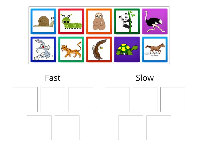 Fast or Slow animals - Group sort