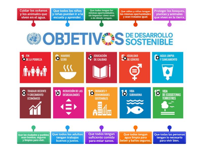 CHINCHETAS ODS - Labelled diagram