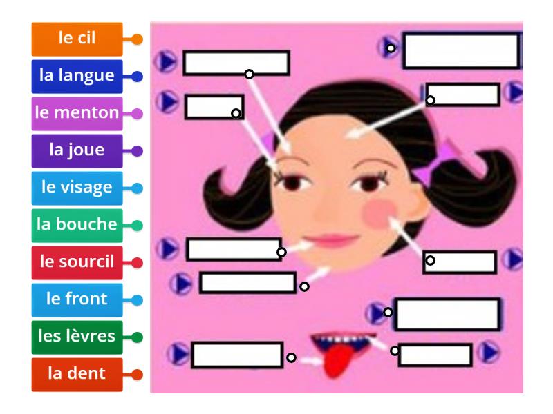 Les parties du visage - Labelled diagram