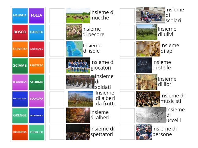 NOMI COLLETTIVI - Match up