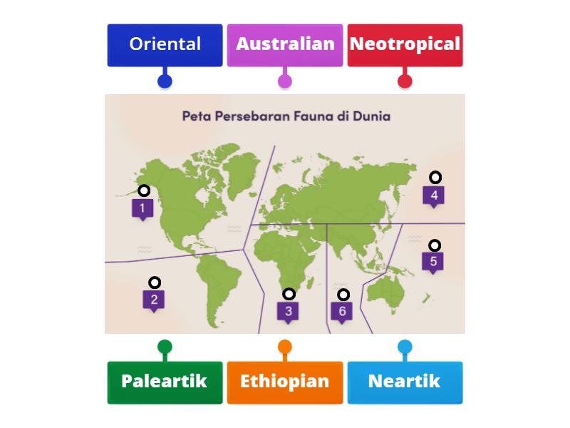 Peta Persebaran Fauna di Dunia - Labelled diagram