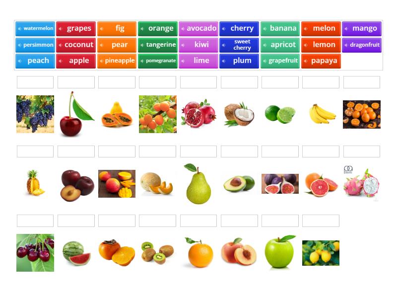 fruit - Match up
