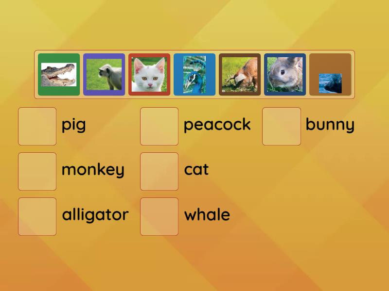 Animal Tails Matching - Match up